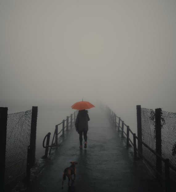 Seeing through the Fog - Author Kristena Mears